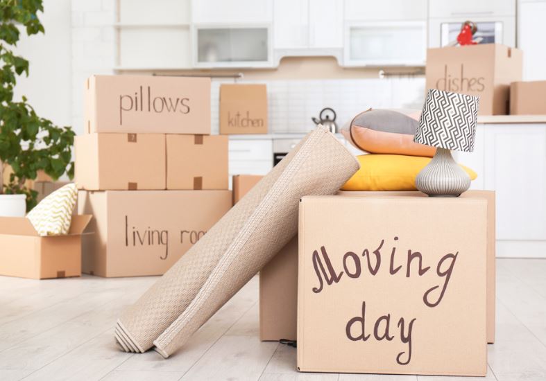 "Pack Like a Pro: Ultimate Packing Guide from Davis Moving & Cleaning ...